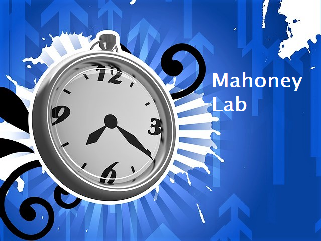 Mahoney Lab | Neuroscience Program | Illinois