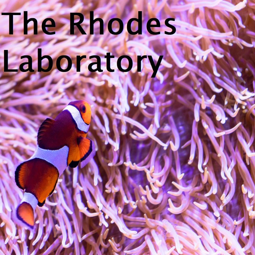 The Rhodes Laboratory | Neuroscience Program | Illinois