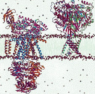 Computational Structural Biology and Molecular Biophysics Group ...