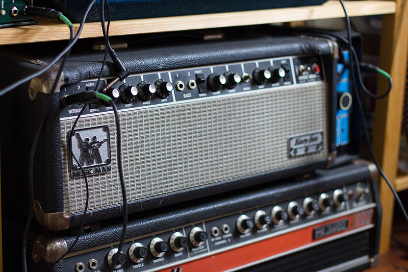 Lipid-mediated organization of prestin in the outer hair cell membrane ...